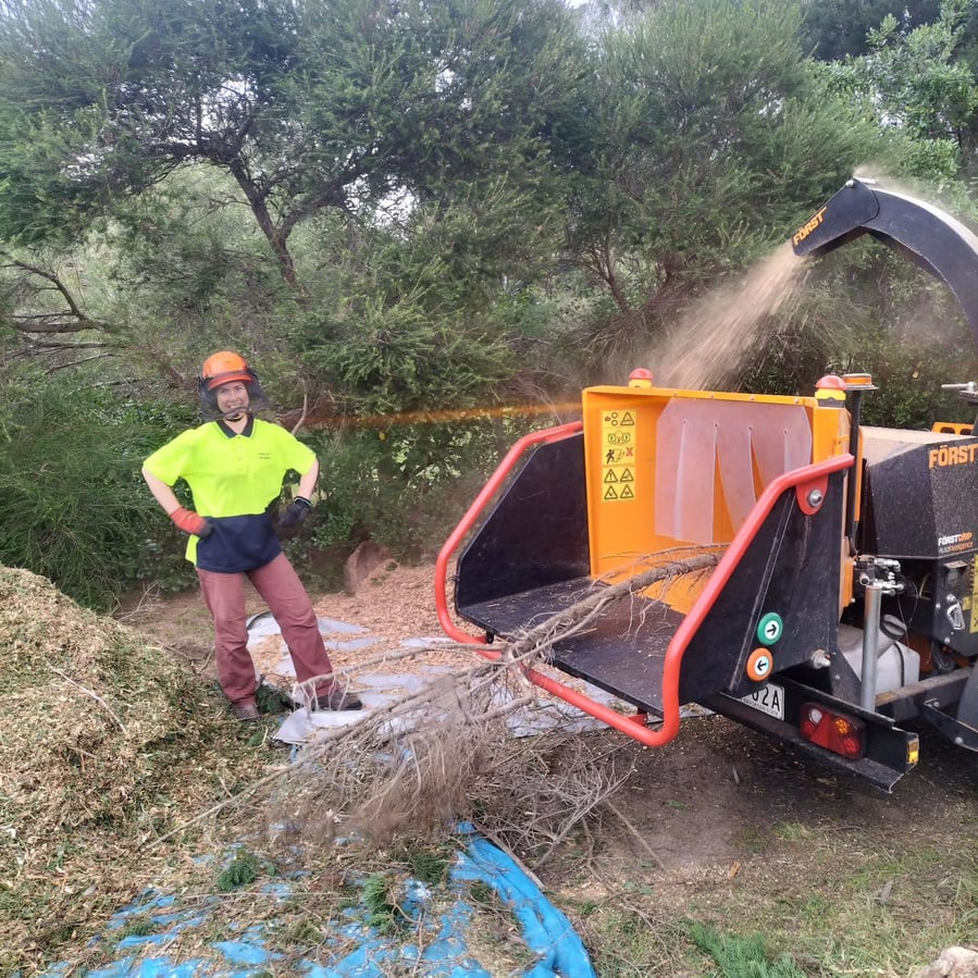Optimizing tree care equipment for Australian arboriculture