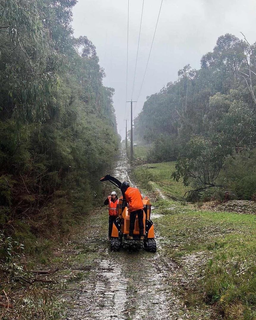 Optimizing tree care equipment for Australian arboriculture