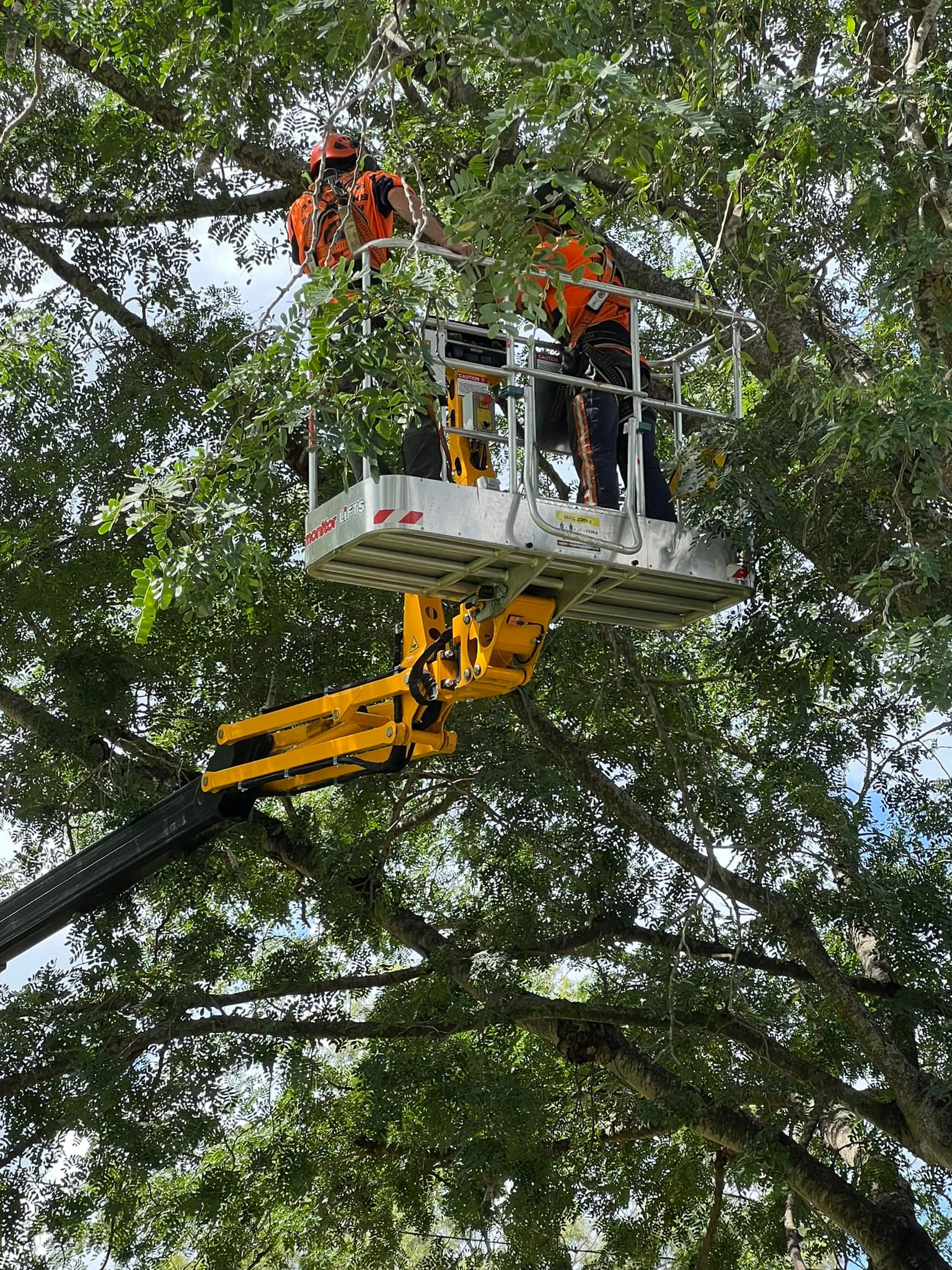 Monitor 2714 Spider Lift enhancing the game for Advanced Tree Works