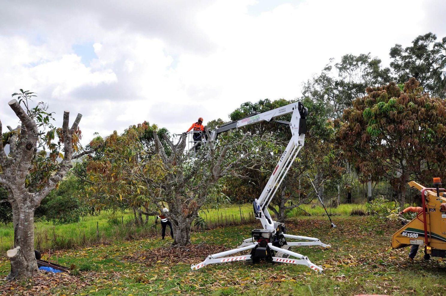 Advanced Tree Care soars high with Monitor 1575 spider lift